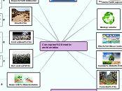 Conceptos medio-ambientales - Mind Map